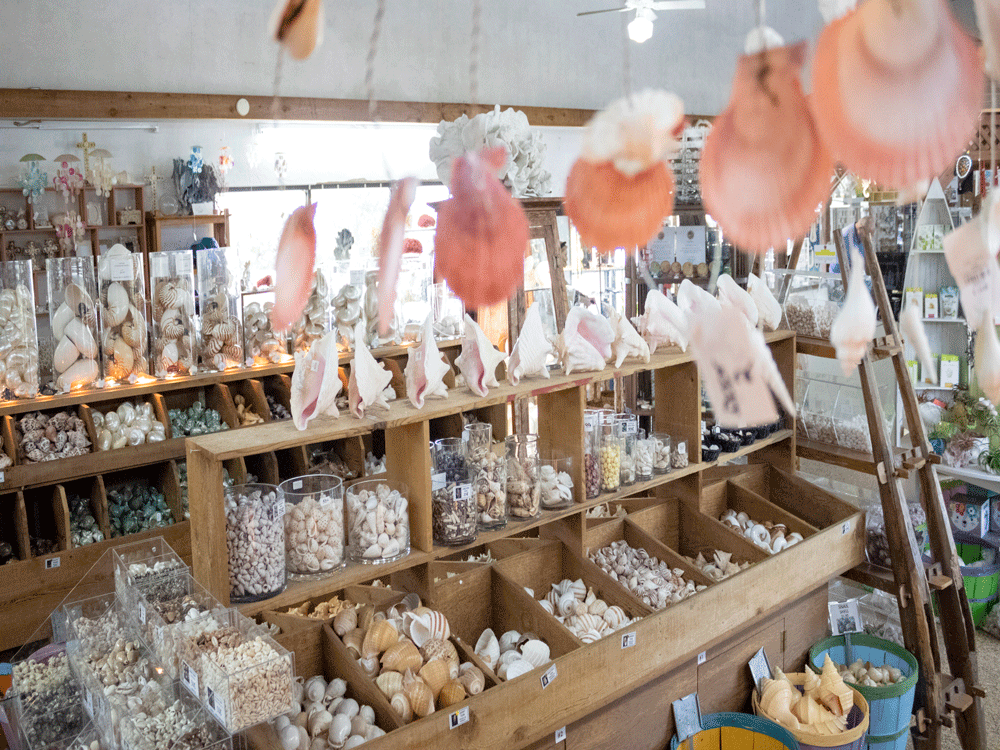 Key Largo, Key Spots To Visit – Distraction Magazine